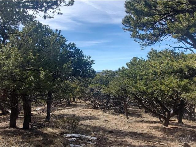 7274 Barker Rd, Fort Garland, CO 81133 | MLS #2490 | Compass