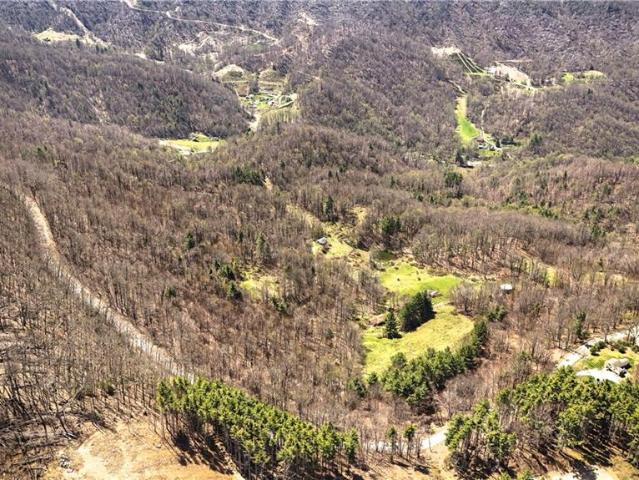 7277 Beech Mountain Road