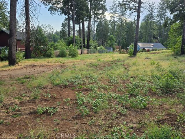 7279 Pentz Road