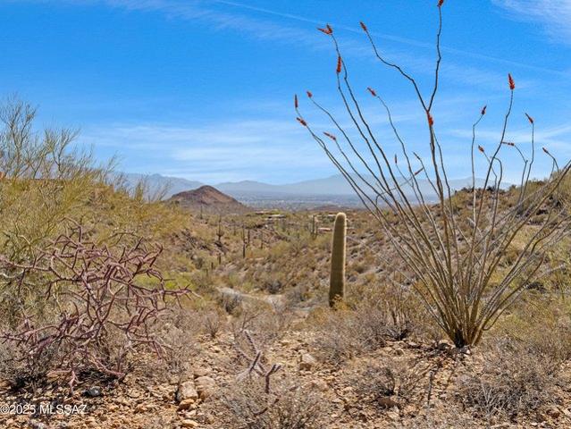 7270 W El Camino Del Cerro, Tucson, AZ 85745