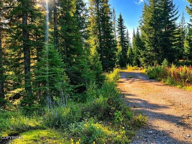 72715 Kingair Ave, Anchor Point, AK 99556