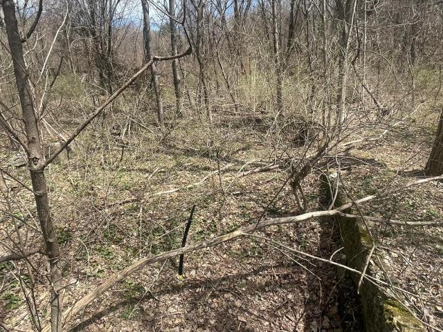 727 County Route 77, Greenwich, NY 12834 | MLS #202613