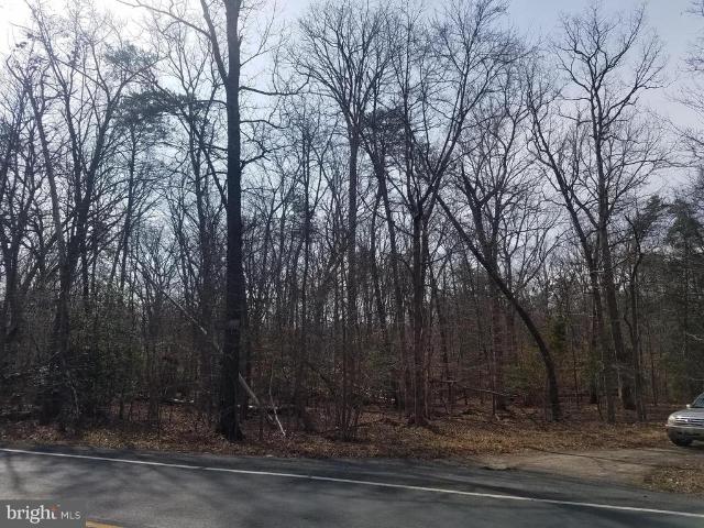 7285 Billingsley Road