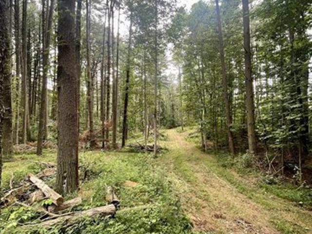 7288 Becks Grove Rd, Freetown, IN 47235