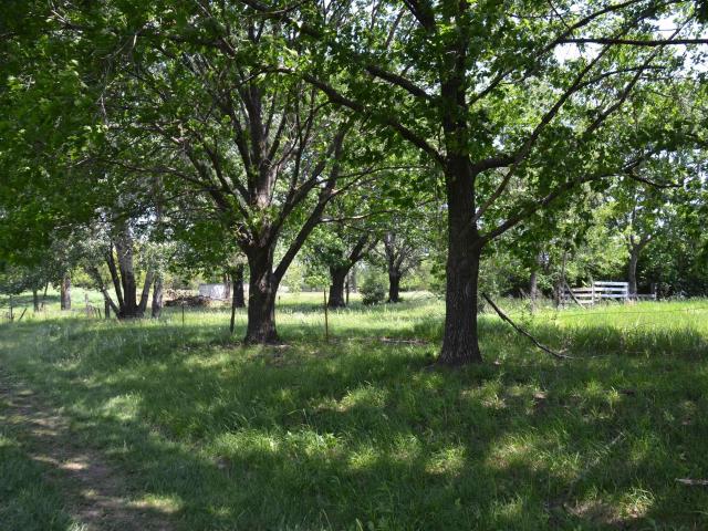 728 E Santa Fe Ave, Burlingame, KS 66413 | MLS #242152