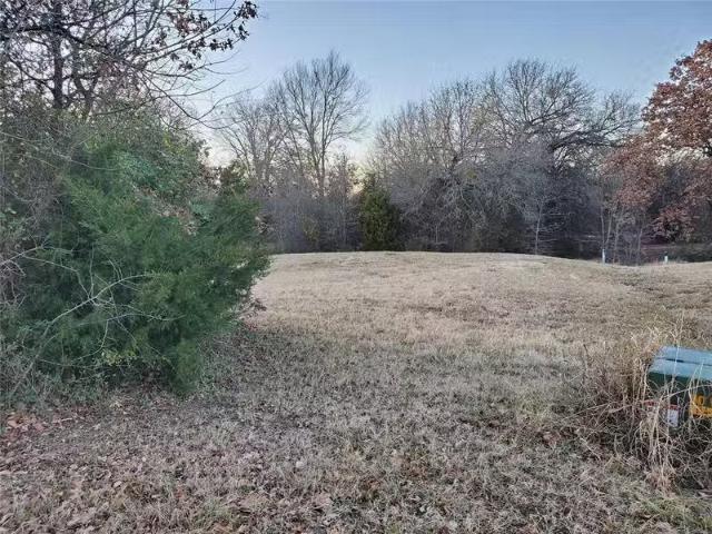 728 Hillburn Dr, West Tawakoni, TX 75474