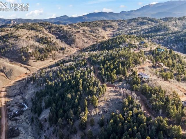 728 Little Topsey Dr, Cripple Creek, CO 80813 | MLS #5774 | Compass