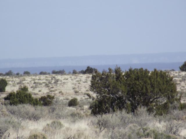 7296 Latigo Rd, Williams, AZ 86046 | MLS #201419