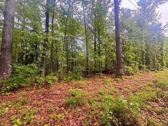 72 75 Henry Dr, Coles Point, VA 22469