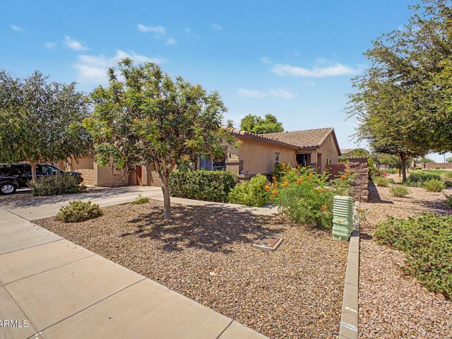 72 w dragon tree avenue