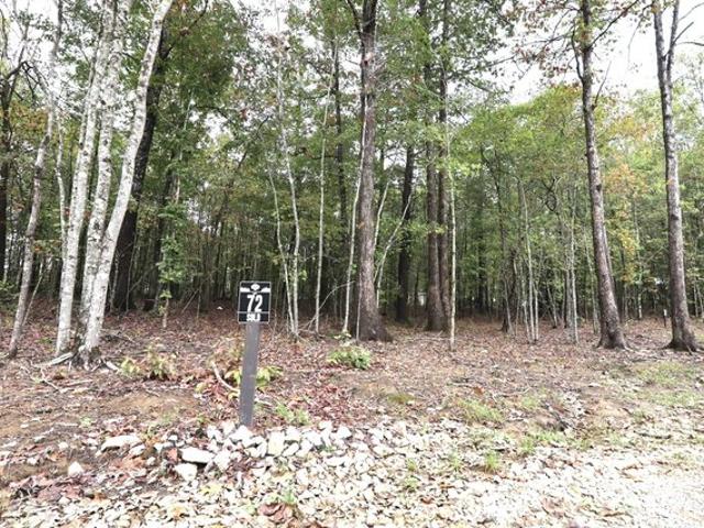 72 Woodly Branch Way, Monteagle, TN 37356