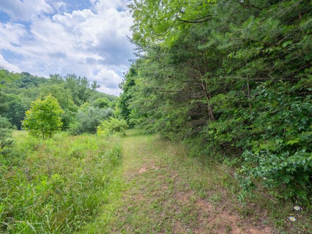72 Acres Trot Valley Rd