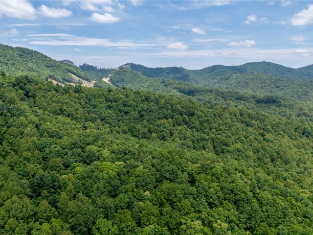 72 Acres Trot Valley Rd