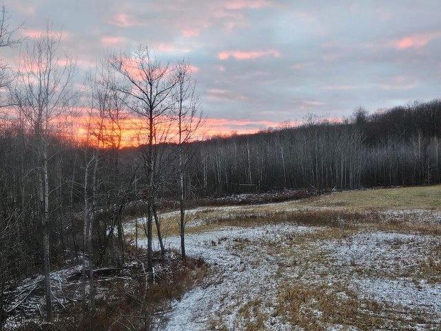 72 Acres W Miller Rd, Mio, MI 48647
