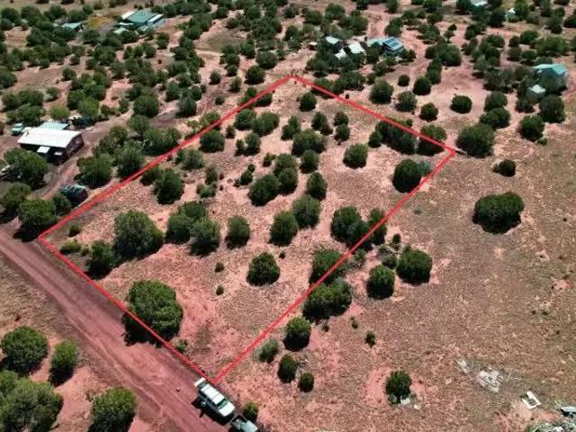 72 County Road 8281 #345, Concho, AZ 85924 MLS 6782675