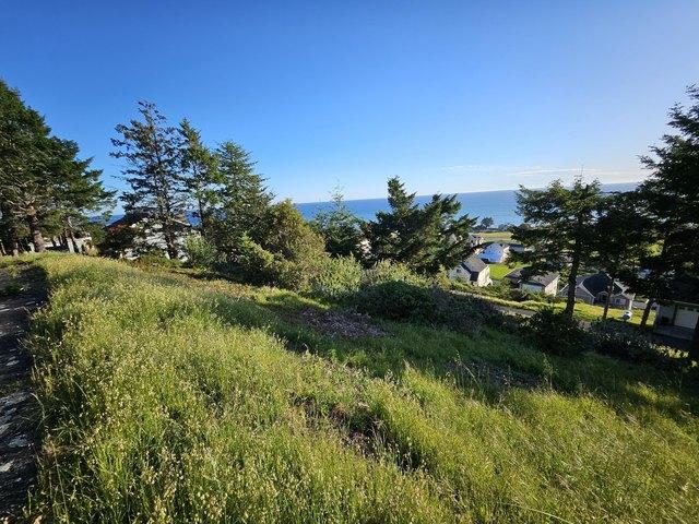 72 Shaker Rd, Whitethorn, CA 95589