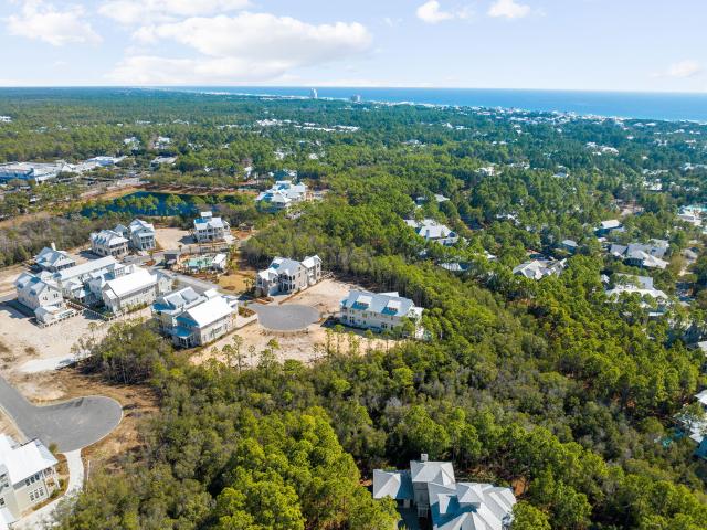 72 String Lily Cv, Santa Rosa Beach, FL 32459 | MLS #1002