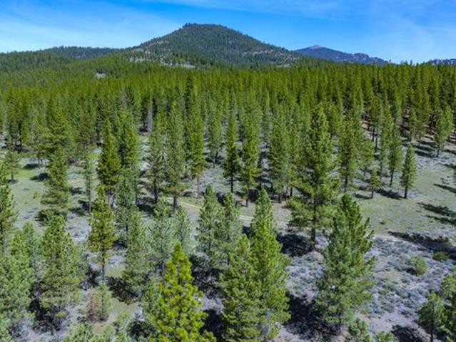 73077 Highway 70, Portola, CA 96122