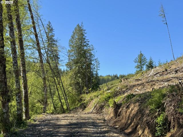 73000 Clatskanie Heights RD