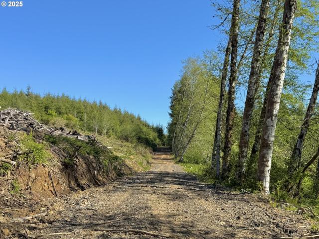 73000 Clatskanie Heights Rd, Clatskanie, OR 97016 | MLS #547617