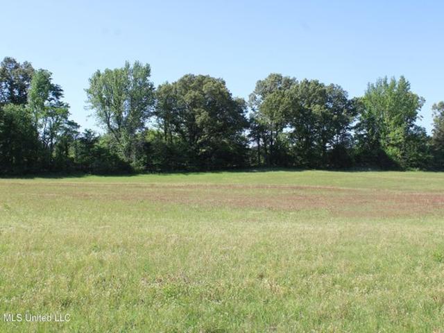 7300 Dean Rd, Lake Cormorant, MS 38641