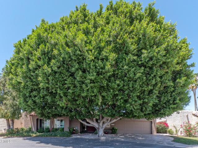 7302 E Rose Ln, Scottsdale, AZ 85250 | MLS #6987 | Compass
