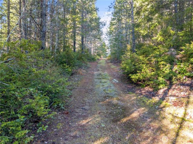 730 NE Black Bear Rd, Belfair, WA 98528 | MLS #2461 | Compass