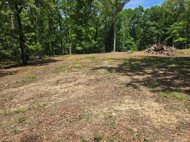 730 Swan Bay Rd, Buchanan, TN 38222