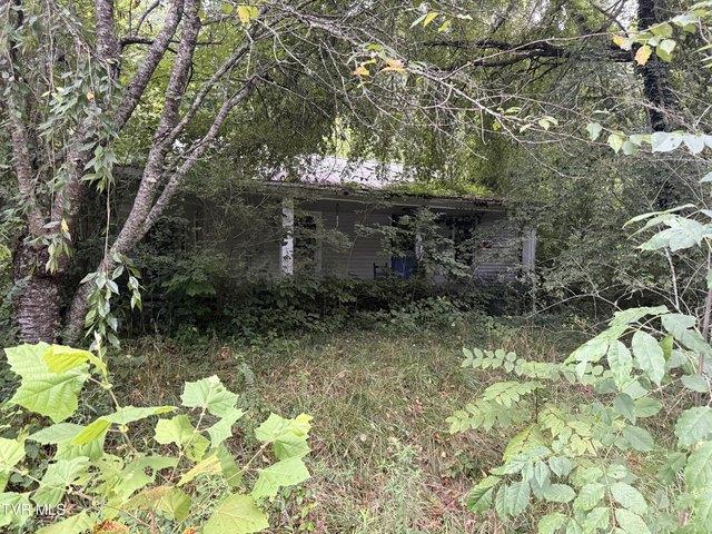 730 Taggart Ave, Big Stone Gap, VA 24219