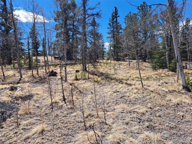 730 Tepee Trl Lot 36, Como, CO 80432
