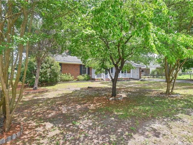 7316 Reedy Creek Drive