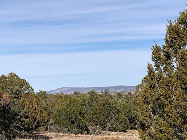 7310 Red Feather Ct, Happy Jack, AZ 86024