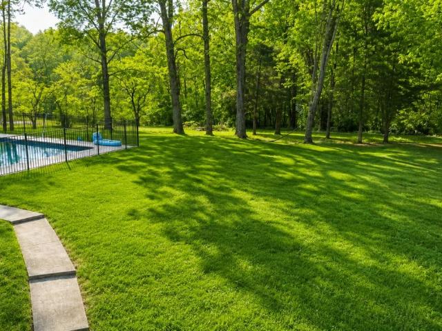 7311 Henry Dr