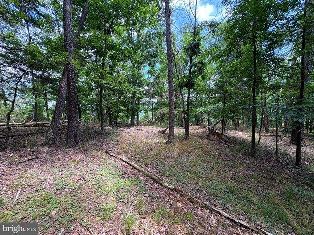 7313 Little Cacapon Rd, Romney, WV 26757