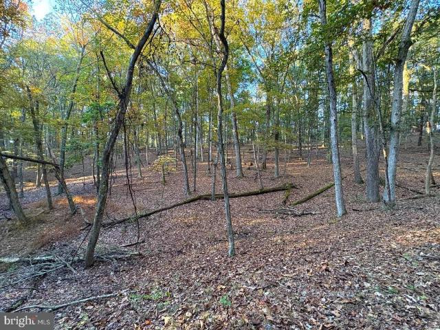 7313 Little Cacapon Road