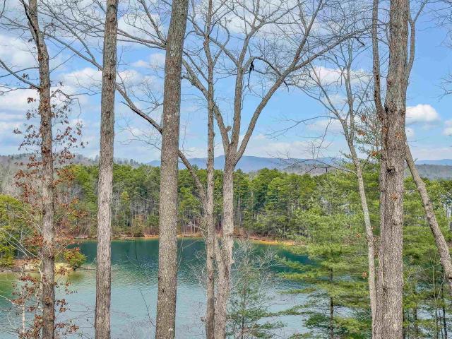 731 Barberry Ct, Salem, SC 29676 | MLS #1583