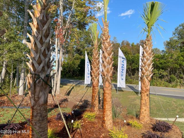 731 Little Gull Way Sw Drive SW # Wilmington Lot 74