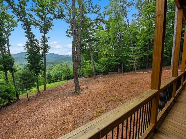 731 Native Trl, Cherry Log, GA 30522 | MLS #431707