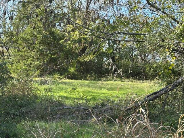 731 NW 1st St, Cooper, TX 75432 | MLS #20781