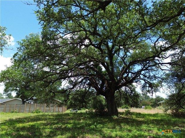 731 Santa Maria Rd Lot 3, Salado, TX 76571