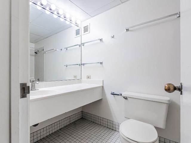 731 Plymouth by 3L Living 1 Bedroom Apartment for Rent at 731 S Plymouth Ct, Chicago, IL 60605 Loop