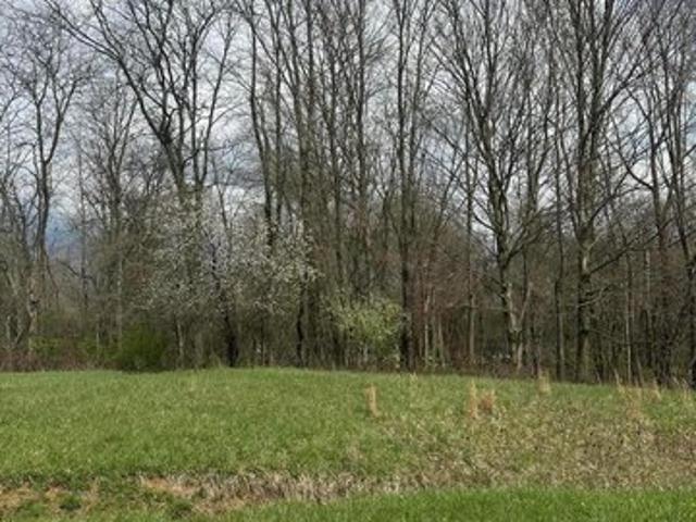 7326 State Route 19 Lot 74, Mount Gilead, OH 43338