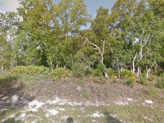 7327 N Lime Dr, Citrus Springs, FL 34433
