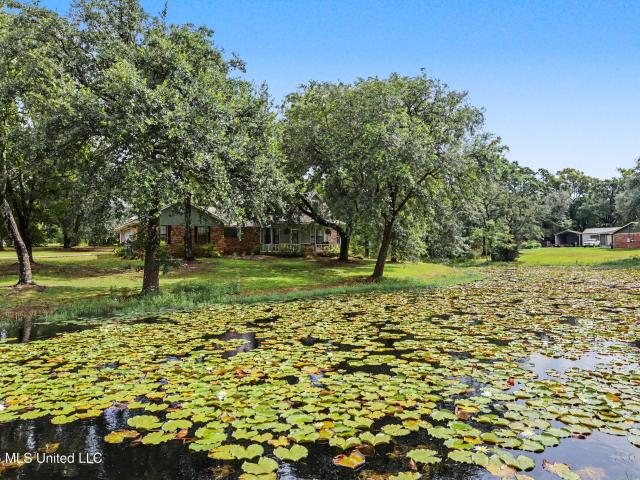 7321 Caraway Road