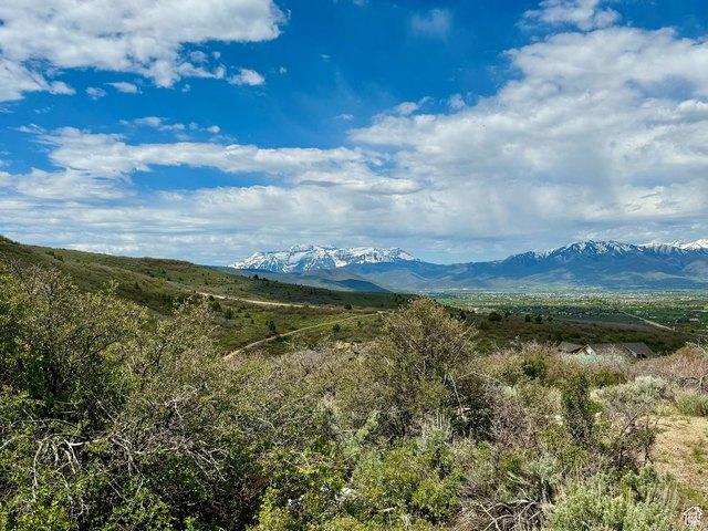 7321 E Oakview Dr Unit 1473, Heber City, UT 84032