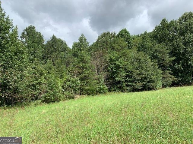 7322 Tribble Gap Rd, Alto, GA 30510 | MLS #10679
