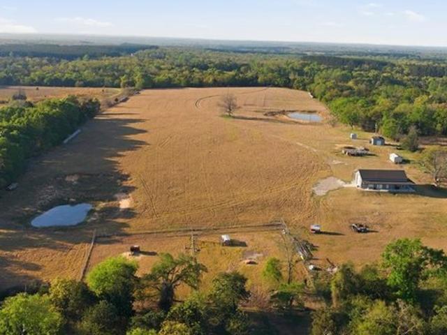 7335 County Road 4710, Larue, TX 75770