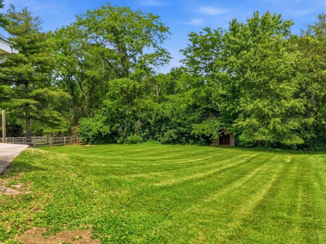 7336 Birchwood Drive