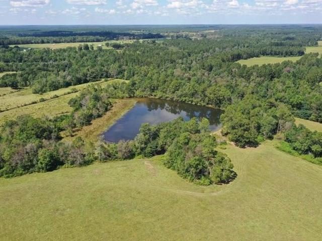 7330 Highway 53, Poplarville, MS 39470