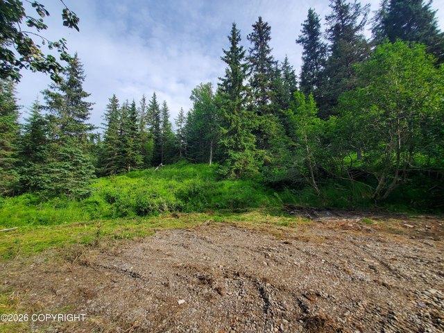 73470 Ann Ct, Anchor Point, AK 99556